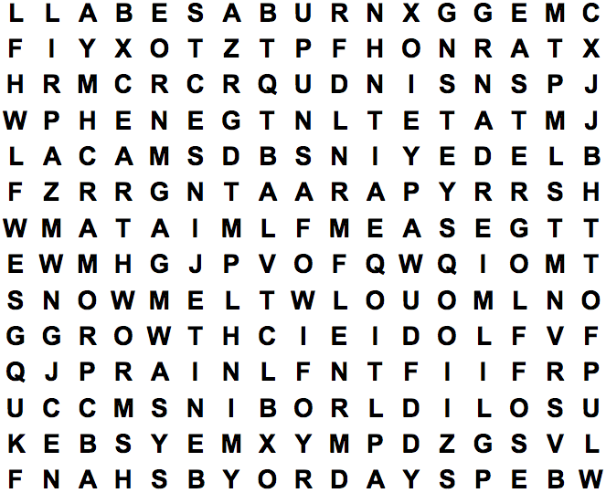 Spring Large Print Word Search Puzzle